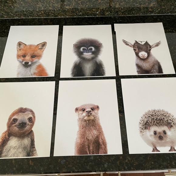 Art | Set Of Six Animal Prints | Poshmark